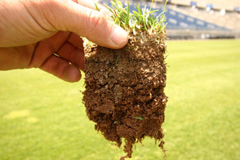 Our Mission | Championship Turf Services
